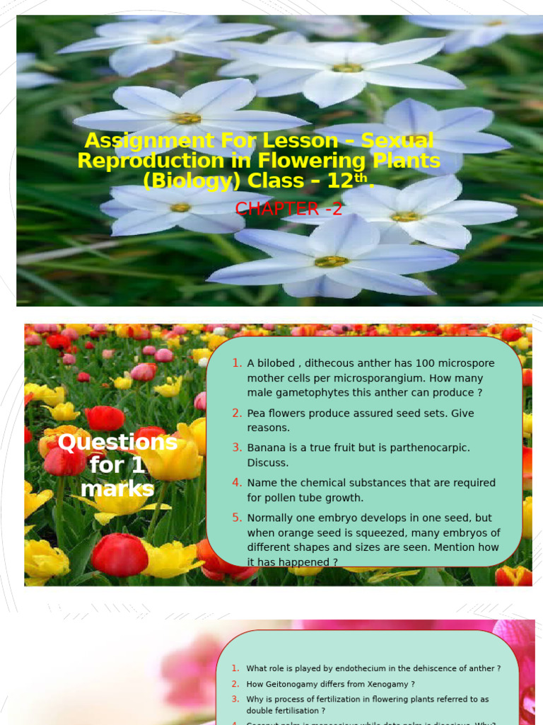 Assignment Class 12 Lesson 2 (1) | PDF | Fertilisation | Ploidy