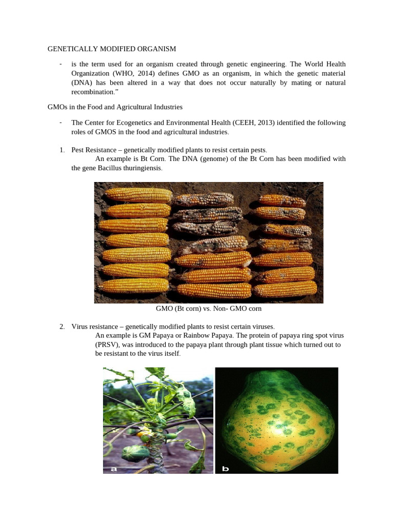 GENETICALLY-MODIFIED-ORGANISM | PDF | Genetically Modified Organism ...