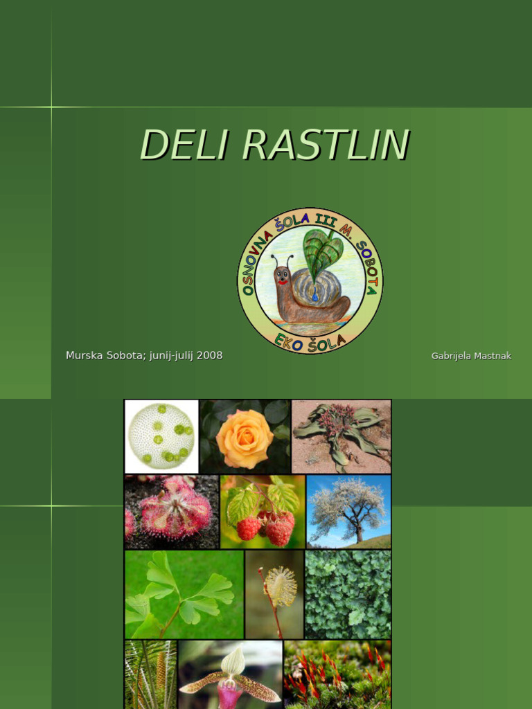 Deli Rastline | PDF