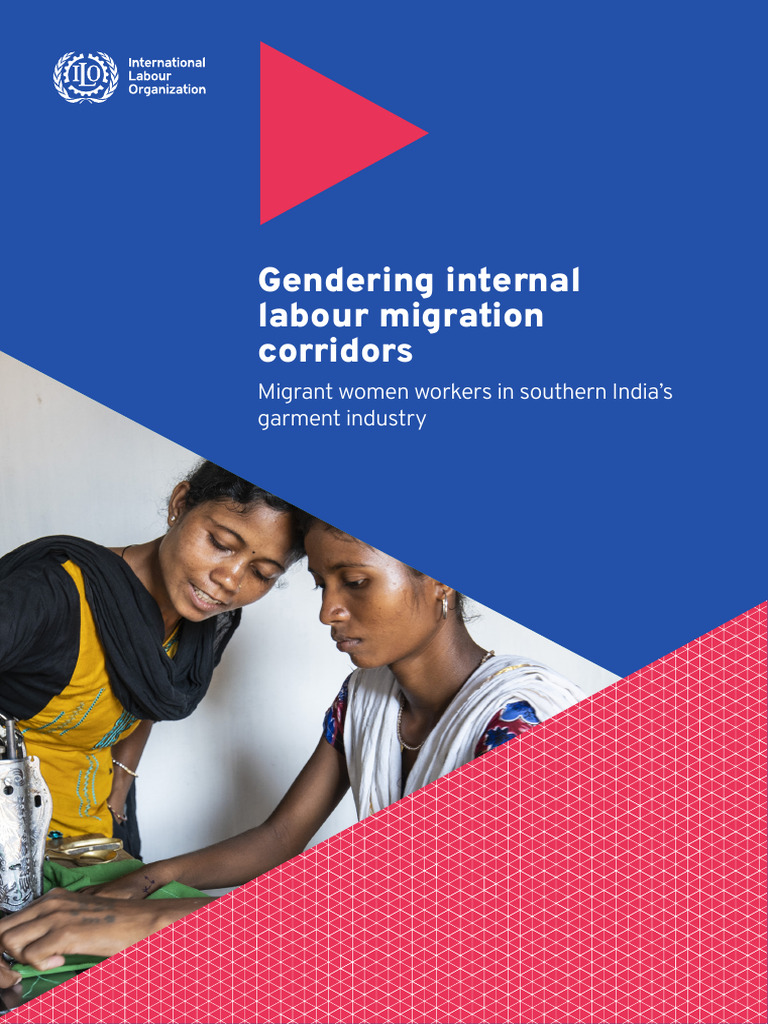Gendering Internal Migration Corridors | PDF | Human Migration ...