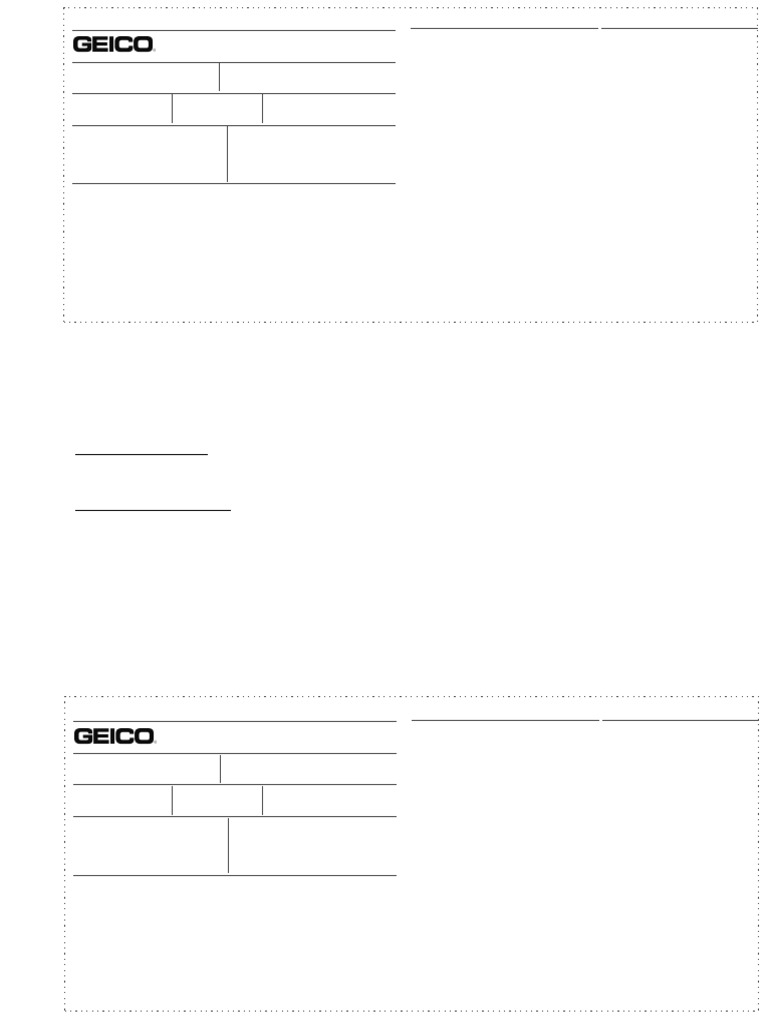 GEICO Insurance card | PDF | Insurance | Identity Document