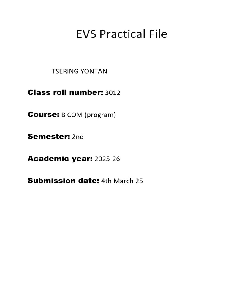 EVS Practical File | PDF