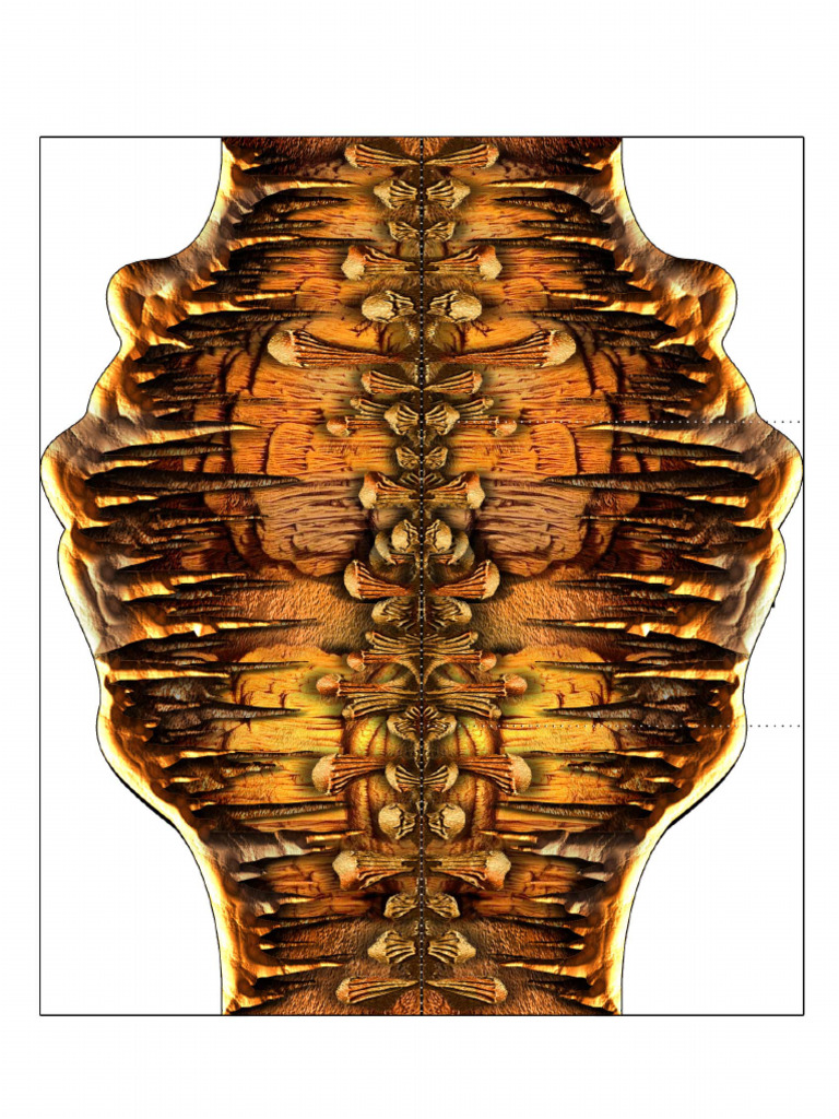 Chamber Wall | PDF