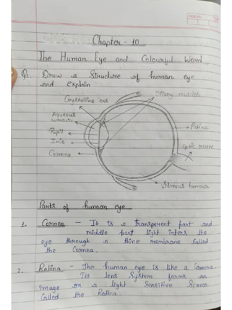 Chapter 10 Science-1 | PDF