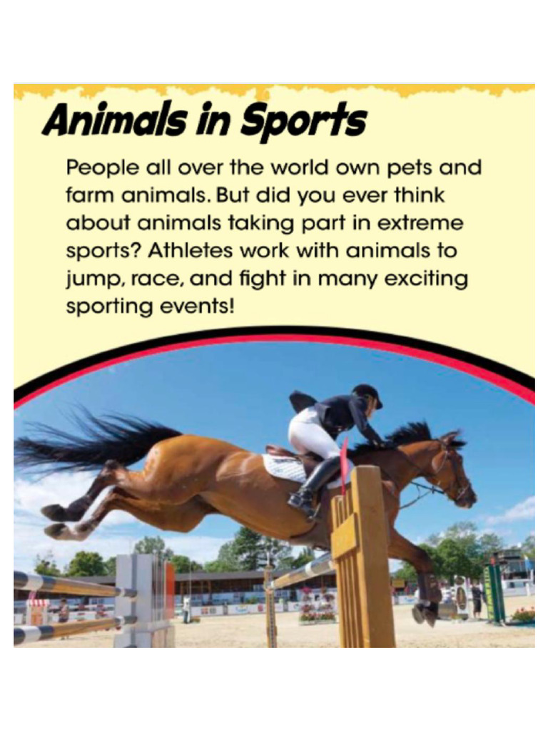 Animal Sports | PDF