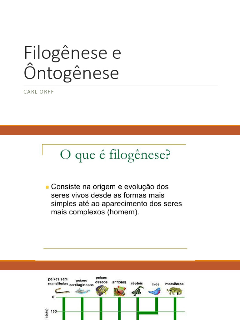 02 - Filogênese e ontogênese | PDF