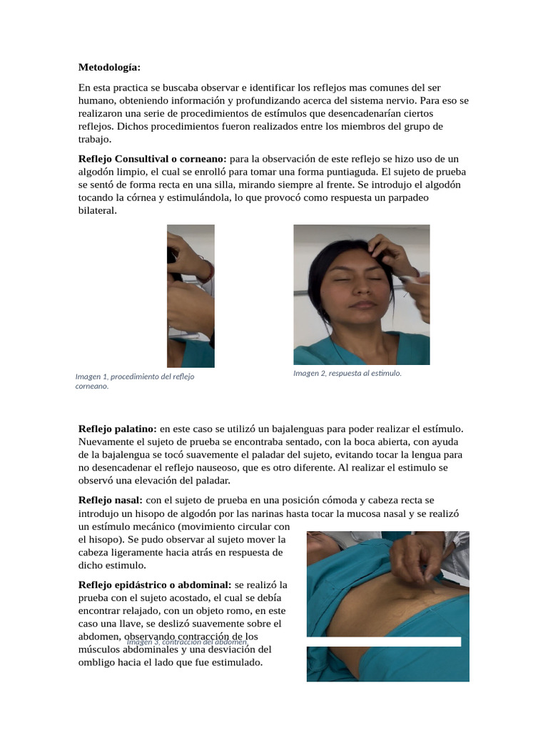 Metodología de Reflejos | PDF | Codo | Rodilla