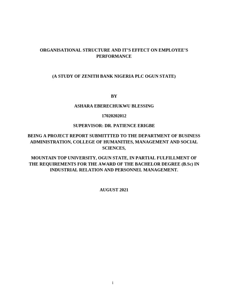 Project Samson For Aliyu | PDF | Organizational Structure | Goal