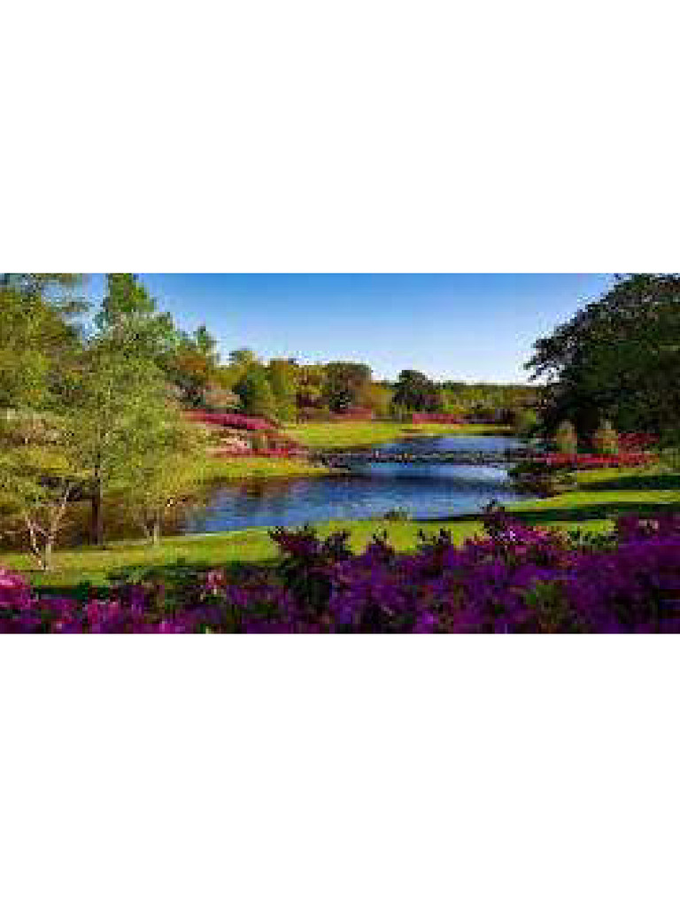 Scenic View | PDF