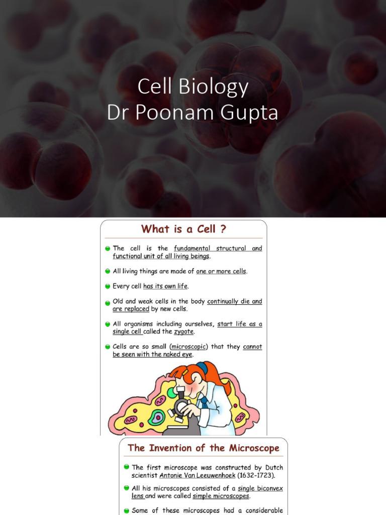 b. Cell Biology | PDF | Cell Membrane | Endoplasmic Reticulum
