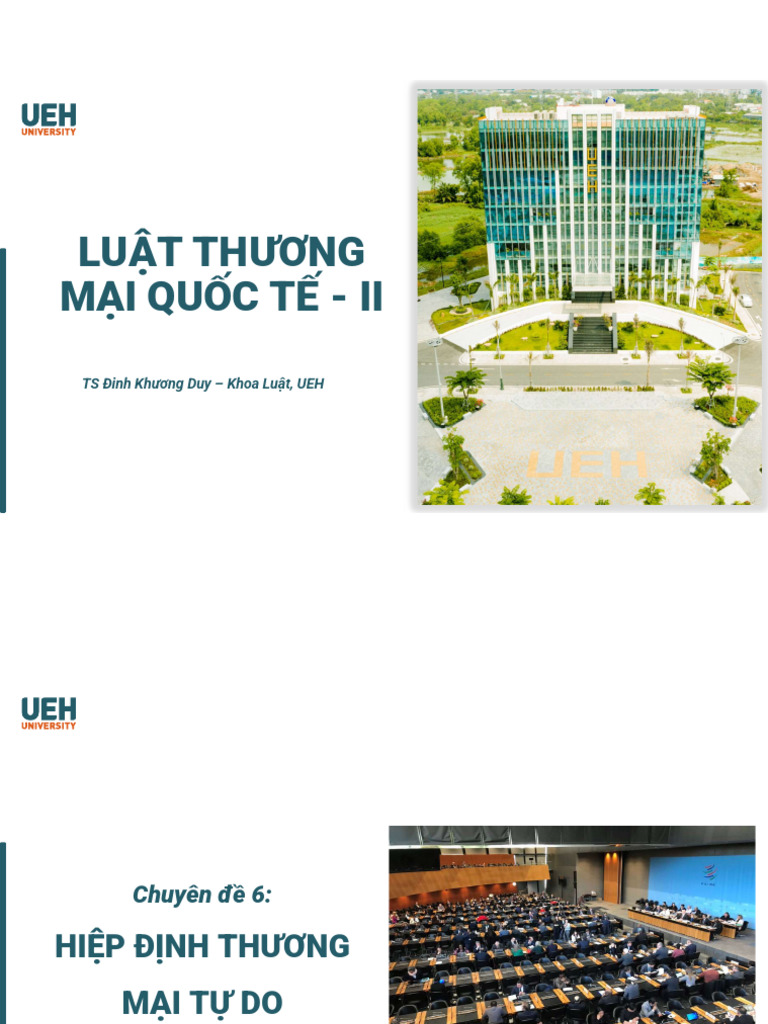 Chuyen de 6 Hiep dinh thuong mai tu do | PDF