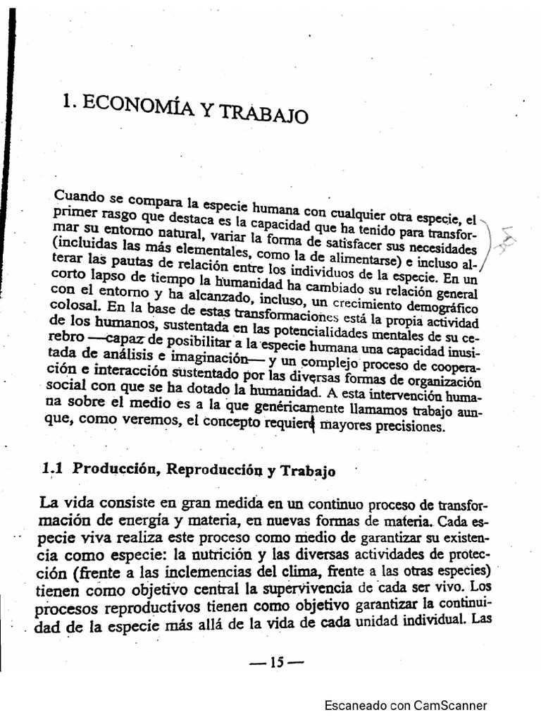 Trabajo-Alberto Recio | PDF