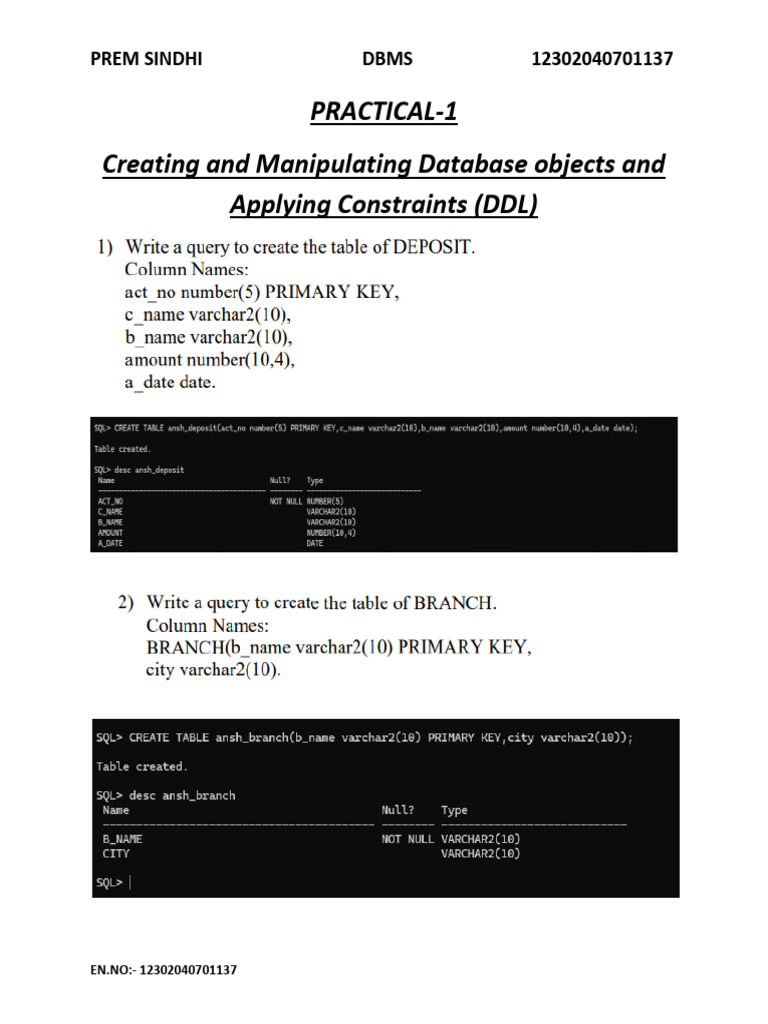 DBMS Practical Exercises Guide | PDF