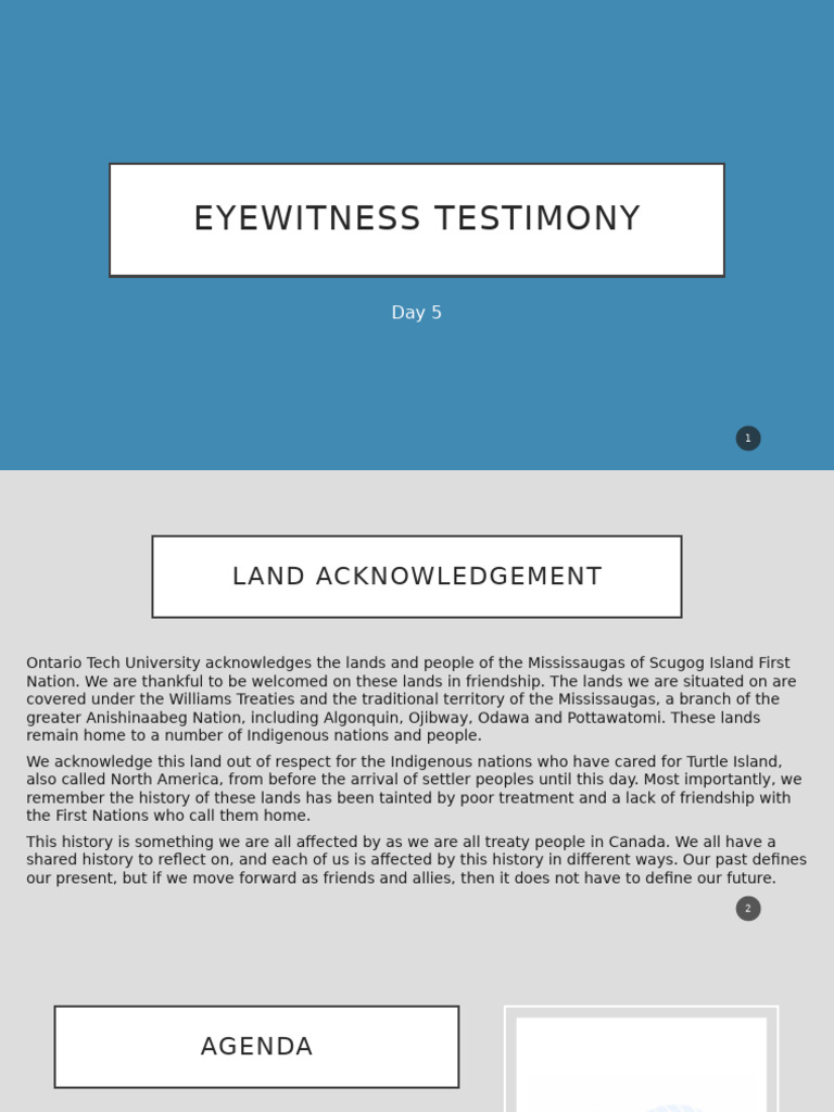 Eyewitness Testimony Insights and Research | PDF | Witness | Mental ...