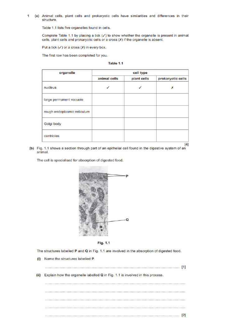 Bio Theory QP | PDF