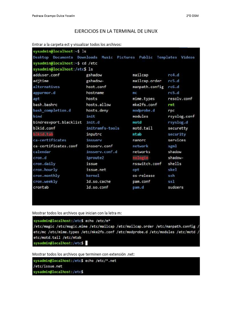 Ejercicios en La Terminal de Linux | PDF