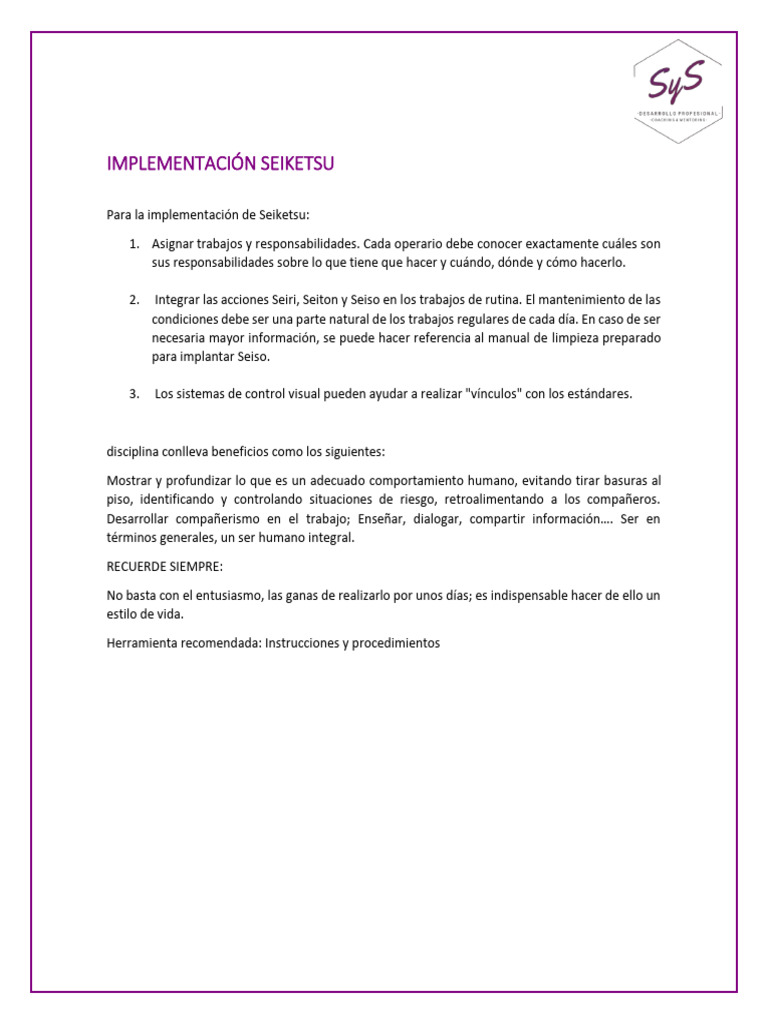Implementacion Seiketsu | PDF