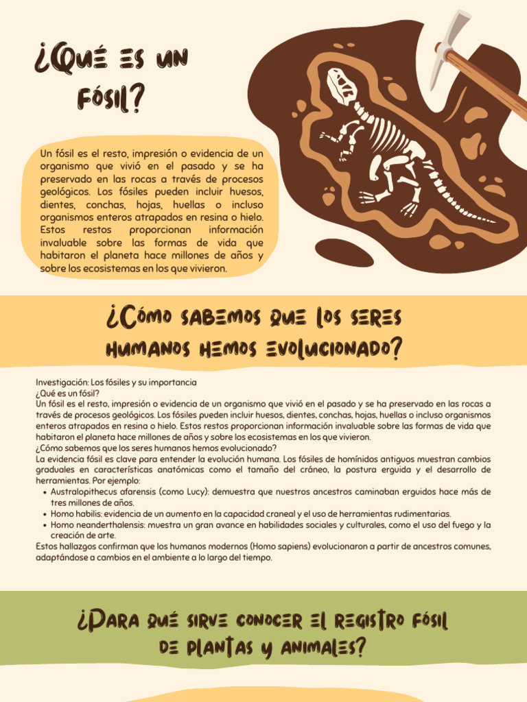 Importancia y Tipos de Fósiles | PDF | Fósil | Homo