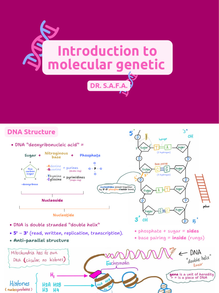 Introduction To Molecular Genetic | PDF | Dna | Gene