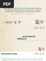 Manual de Procedimientos Asistente Médica IMSS | PDF | Medicina ...