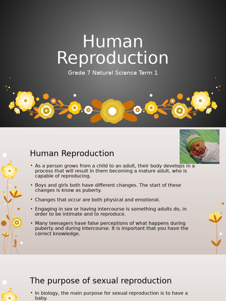 Understanding Human Reproduction Basics | PDF | Menstrual Cycle ...