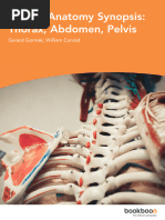Thorax Anatomy Diagrams Overview | PDF