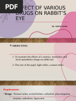 Cow Eye Dissection Lab Report | PDF | Eye | Human Eye