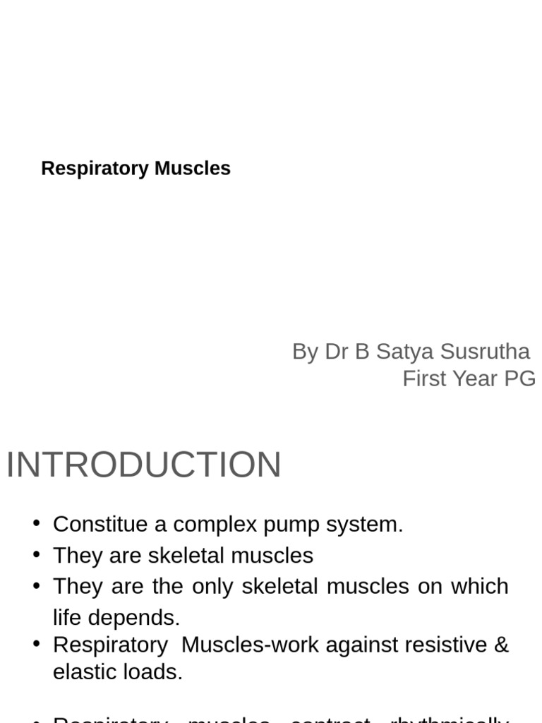 Characteristics of Respiratory Muscles | PDF | Skeletal Muscle | Vertebra