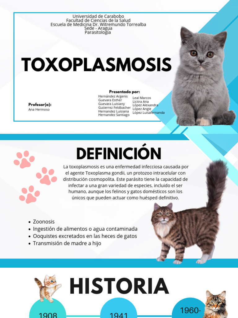 Toxoplasmosis 20250202 092513 0000 | PDF | Especialidades Medicas ...