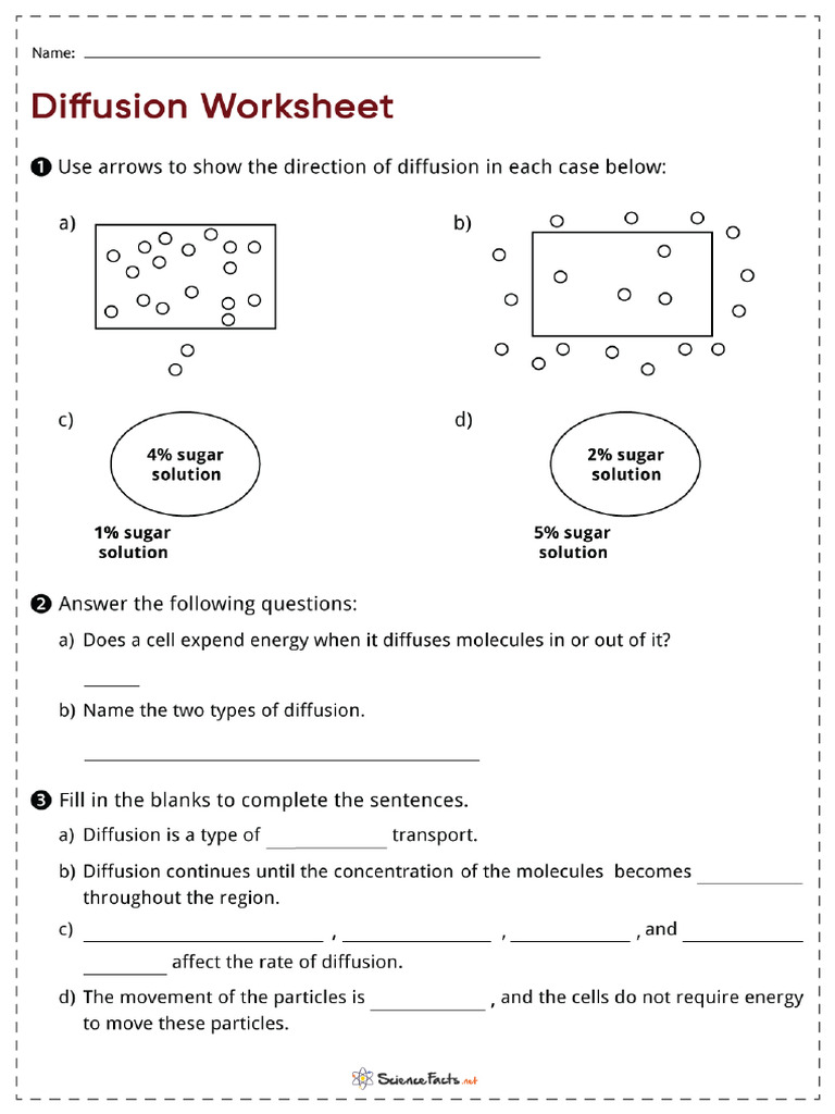 Diffusion Worksheet With Answers | PDF