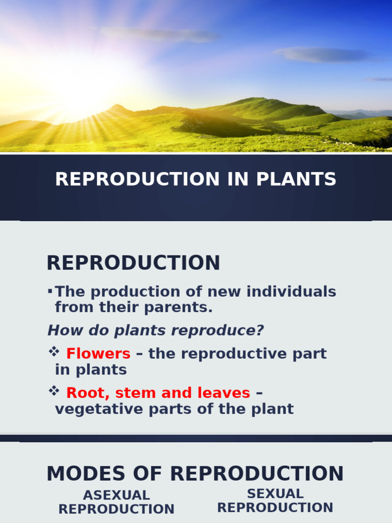 Plant Reproduction: Asexual and Sexual Methods | PDF | Flowers ...