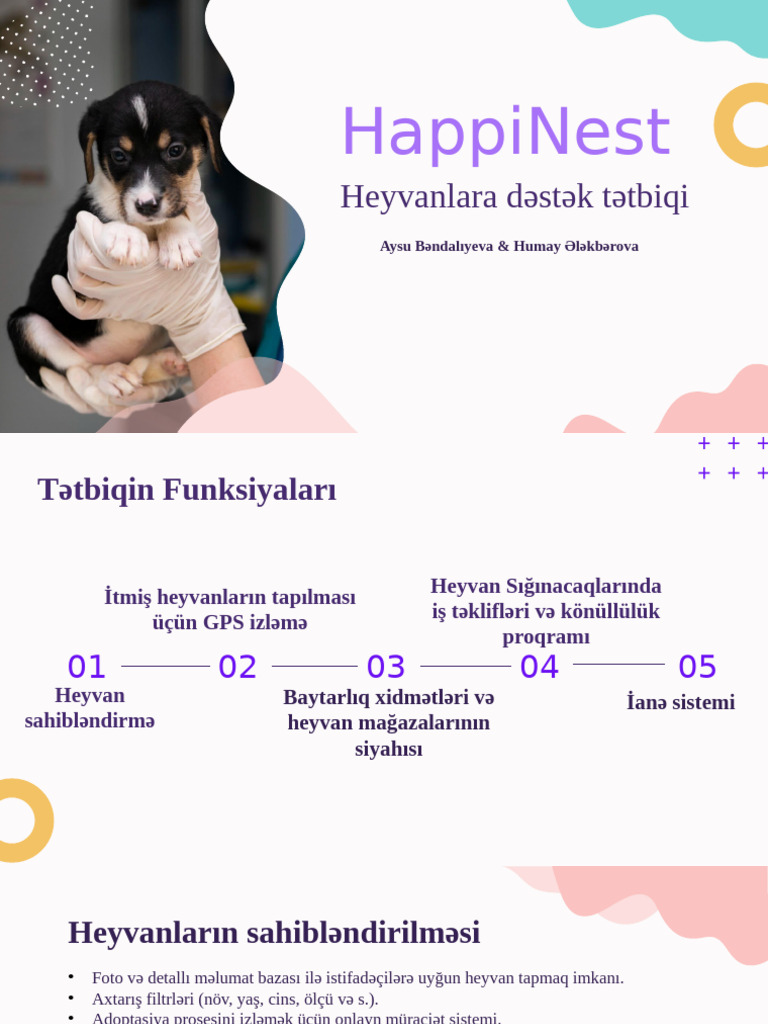 happinest layihe | PDF