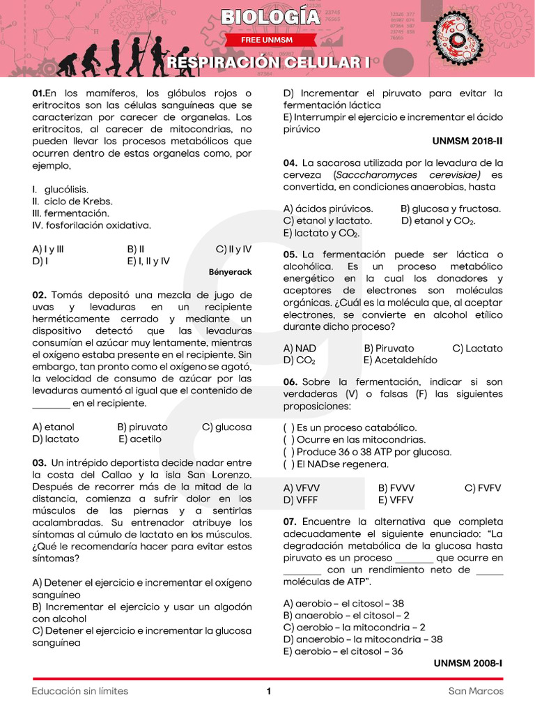 Respiración Celular I - Biología | PDF