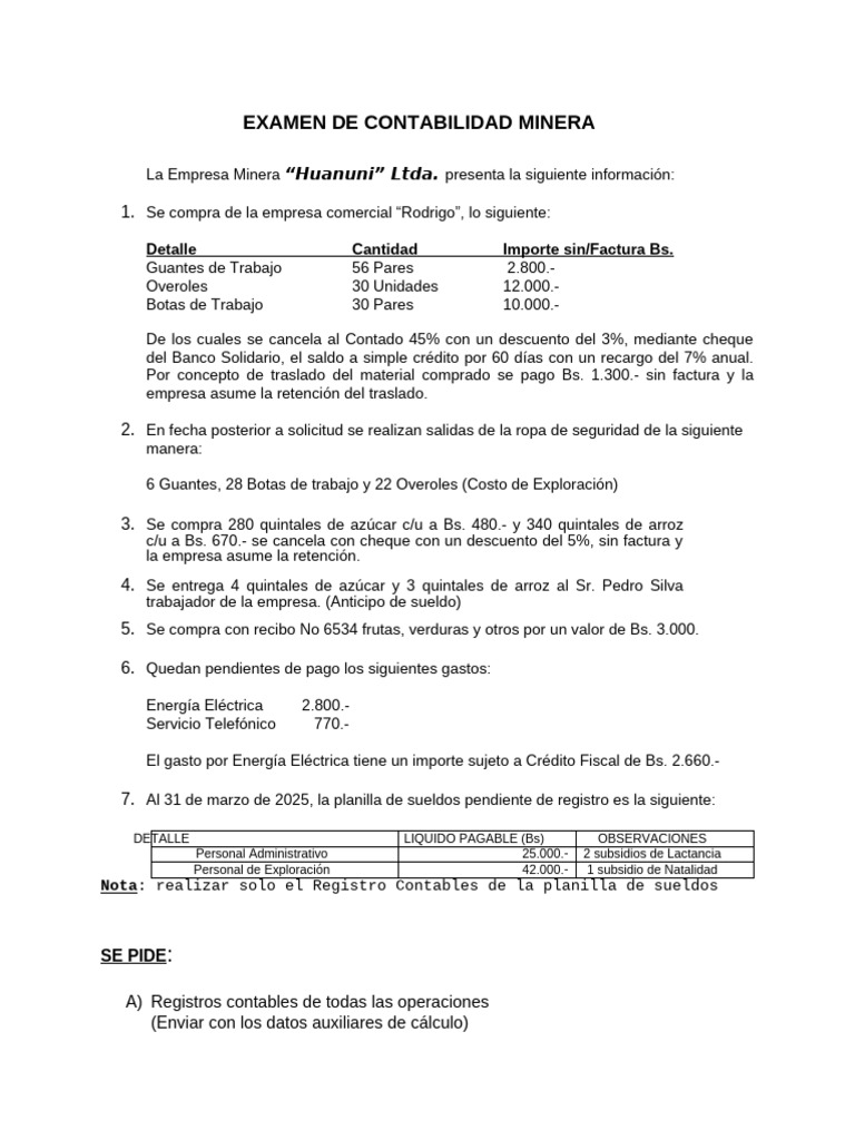 Exa 1 Minera2025 | PDF