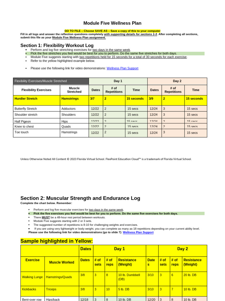 Module Five Wellness Plan | PDF