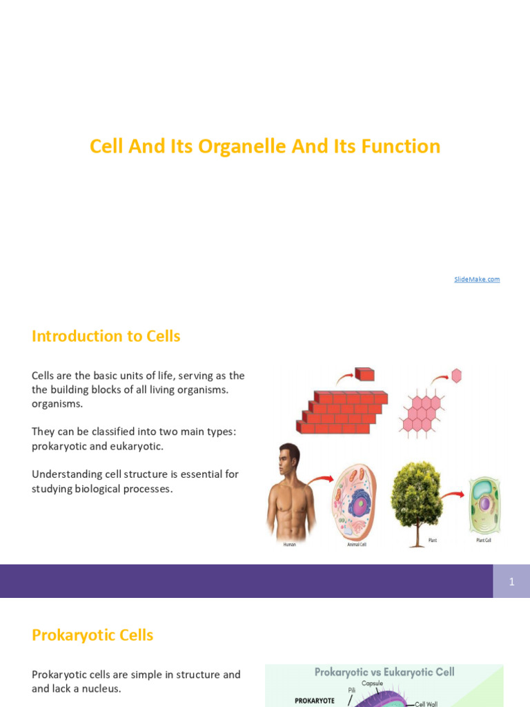 Cell Organelles and Their Functions | PDF | Cell (Biology) | Eukaryotes