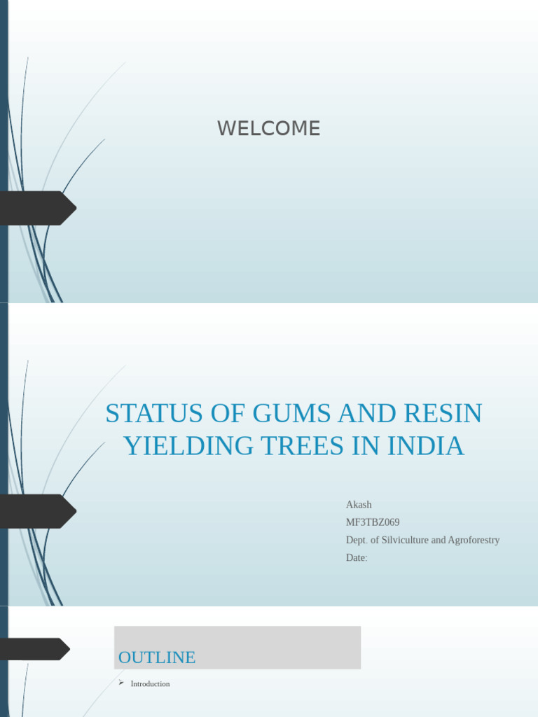 STATUS OF GUM AND RESIN PRODUCING TREE IN INDIA Final | PDF | Resin