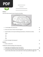 Grade 9 Geography Exam Memo Term 1 2025 | PDF