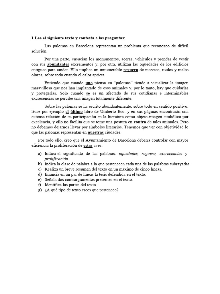 Actividad Texto Argumentativo | PDF