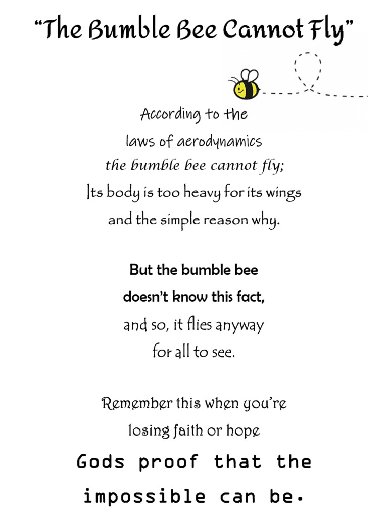 The Bumble Bee Cannot Fly | PDF