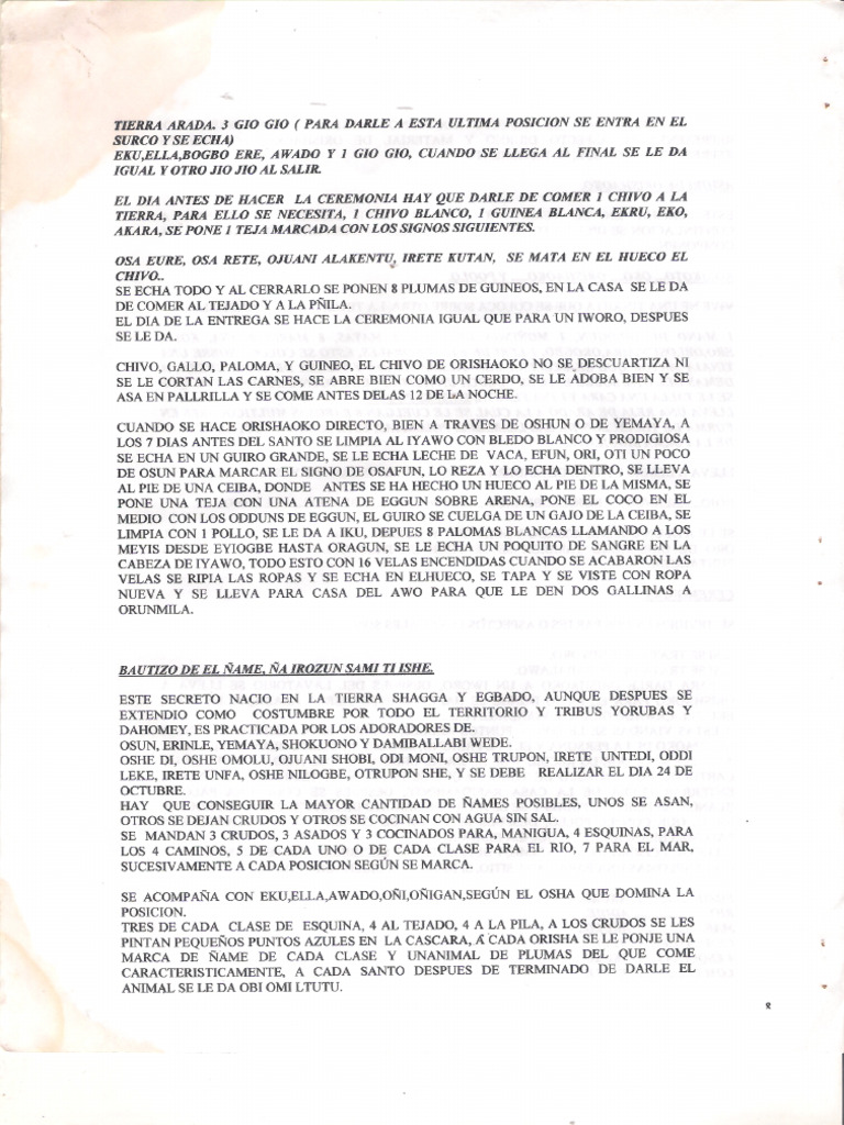 Escáner 20250305 | PDF