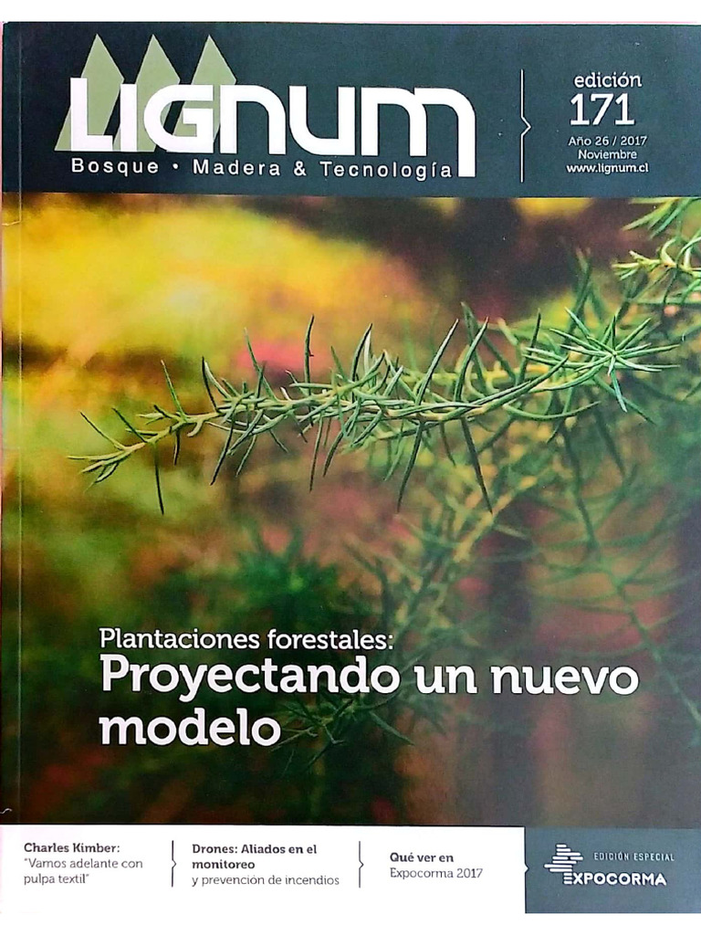 Lignum 171 | PDF