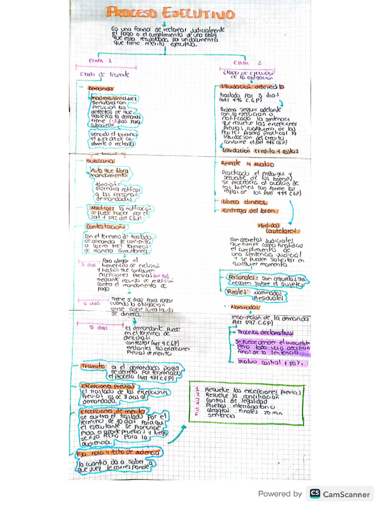 Proceso Ejecutivo | PDF
