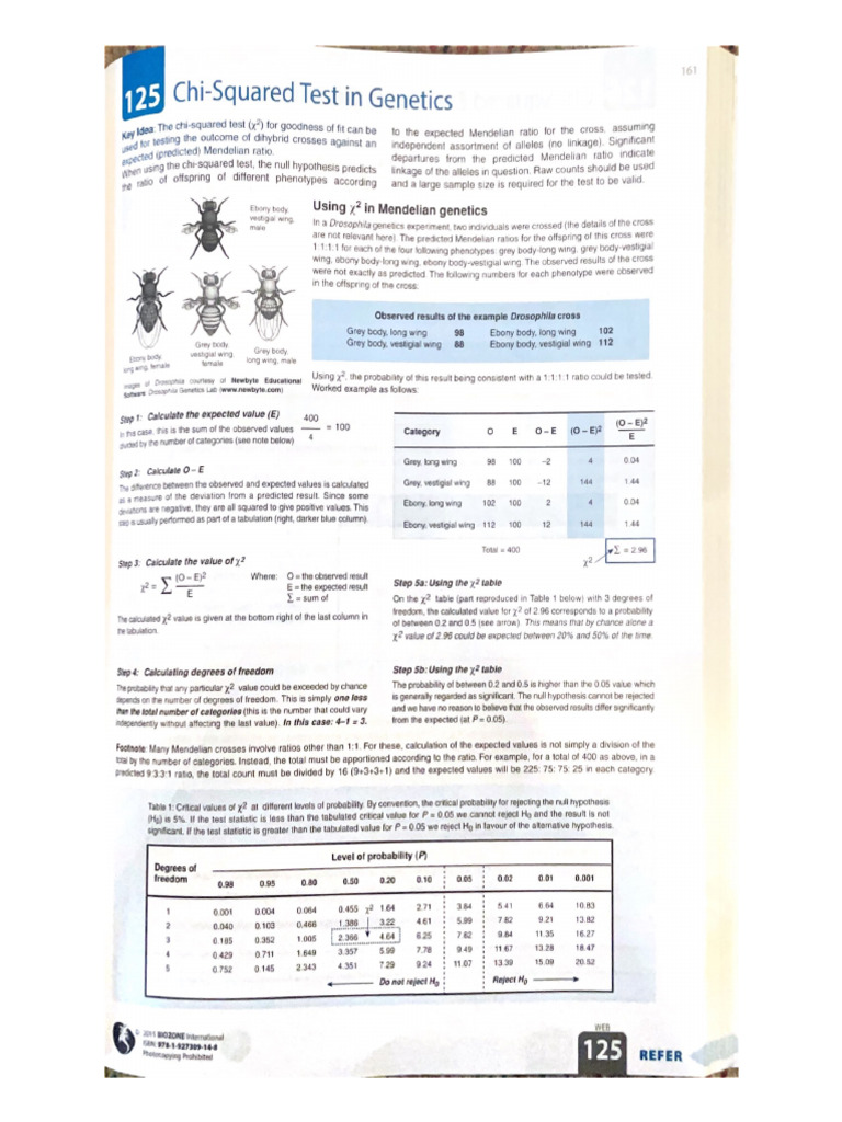 125 Chi-Squared Test in Genetics | PDF