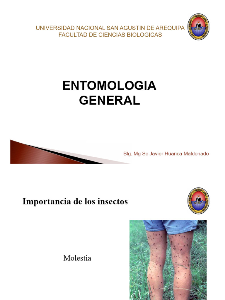 SEM-01 Introduccion Entomologia General 2024 | PDF | Insectos | Biología