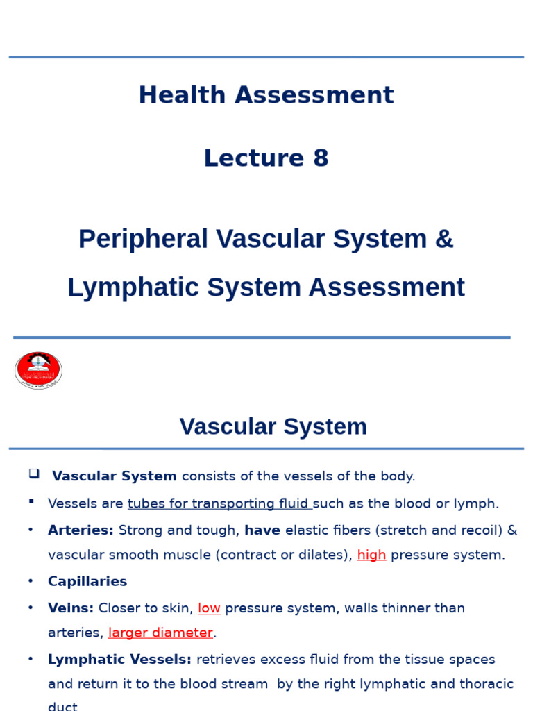 Peripheral Vascular and Lymphatic Assessment | PDF | Edema | Human Leg