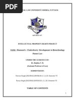 ENVIROPIG | PDF | Genetically Modified Organism | Transgene