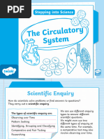 Grade 6 Cambridge Science. The Circulatory system | PDF