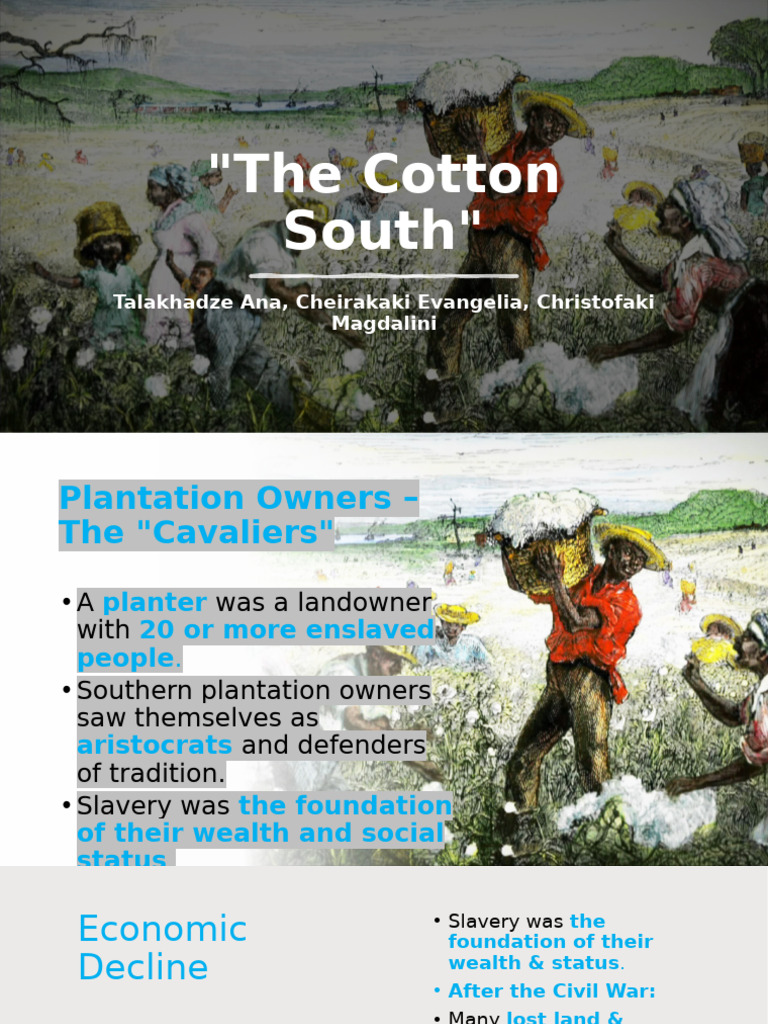 The Cotton South: Economy and Society | PDF | Slavery In The United ...