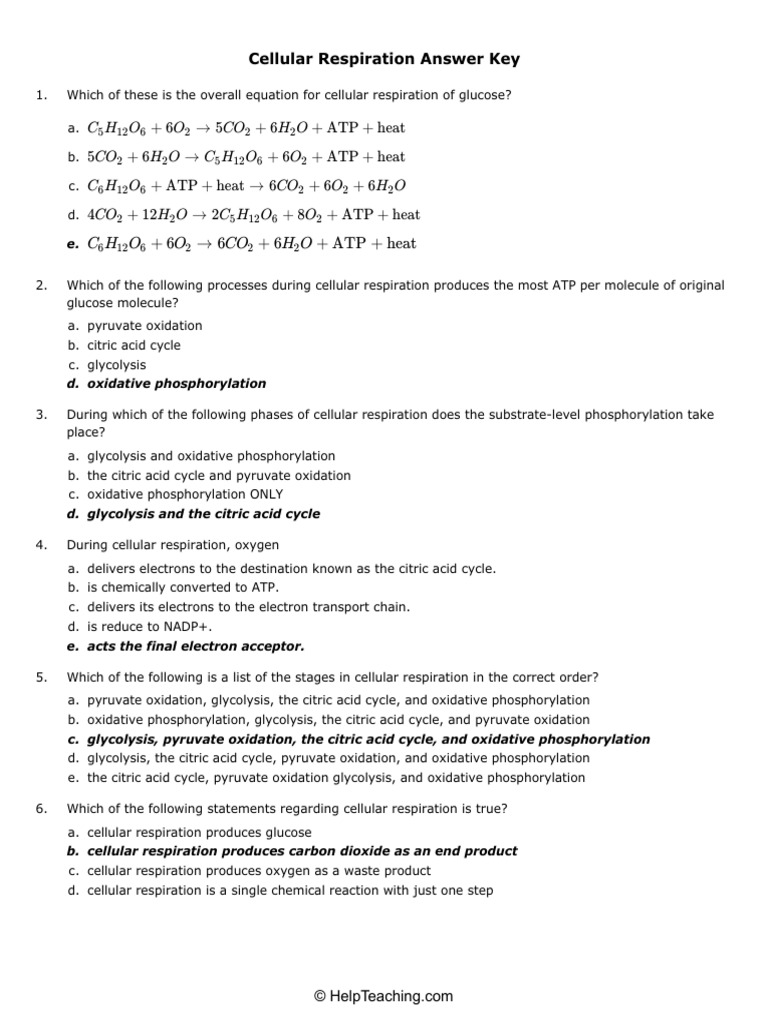 Key Concepts of Cellular Respiration | PDF | Cellular Respiration ...